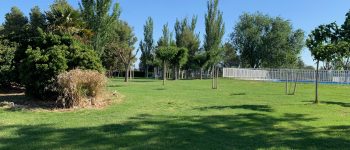 Quinto - Web oficial Ayuntamiento de Quinto